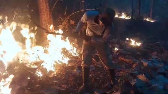 5,7 Hektare Lahan dan Hutan Habis Terbakar di Kecamatan Kendit